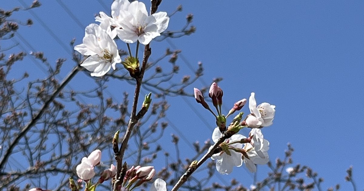 4月突入！！！ | ALIS