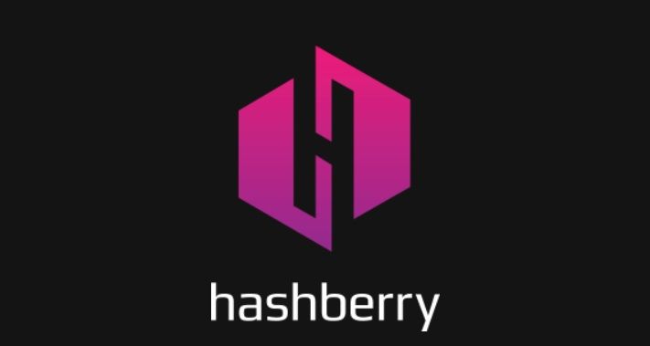 「ICOプロジェクト」Hashberry 分析レポート | ALIS