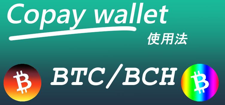 Copay wallet 使い方 | ALIS