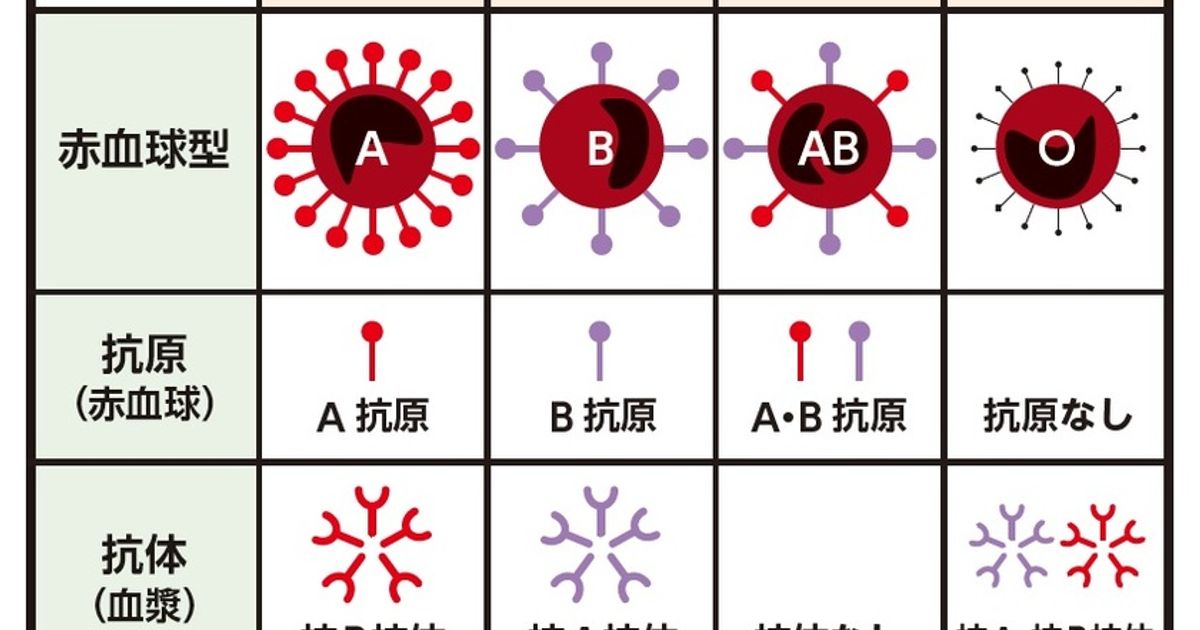 腸内細菌の酵素によって血液型を変えることができるかもしれない（デンマーク工科大学、他） | ALIS