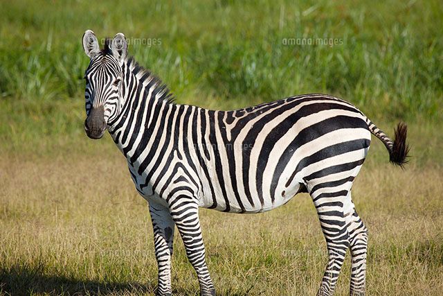 【のんべんだらり日記】Vol.38 病院好き？ 嫌い？ | ALIS