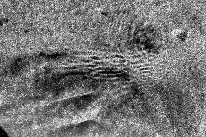 Vol.181 クリプト最大の欠点はイーサに連動してしまうこと説 | ALIS