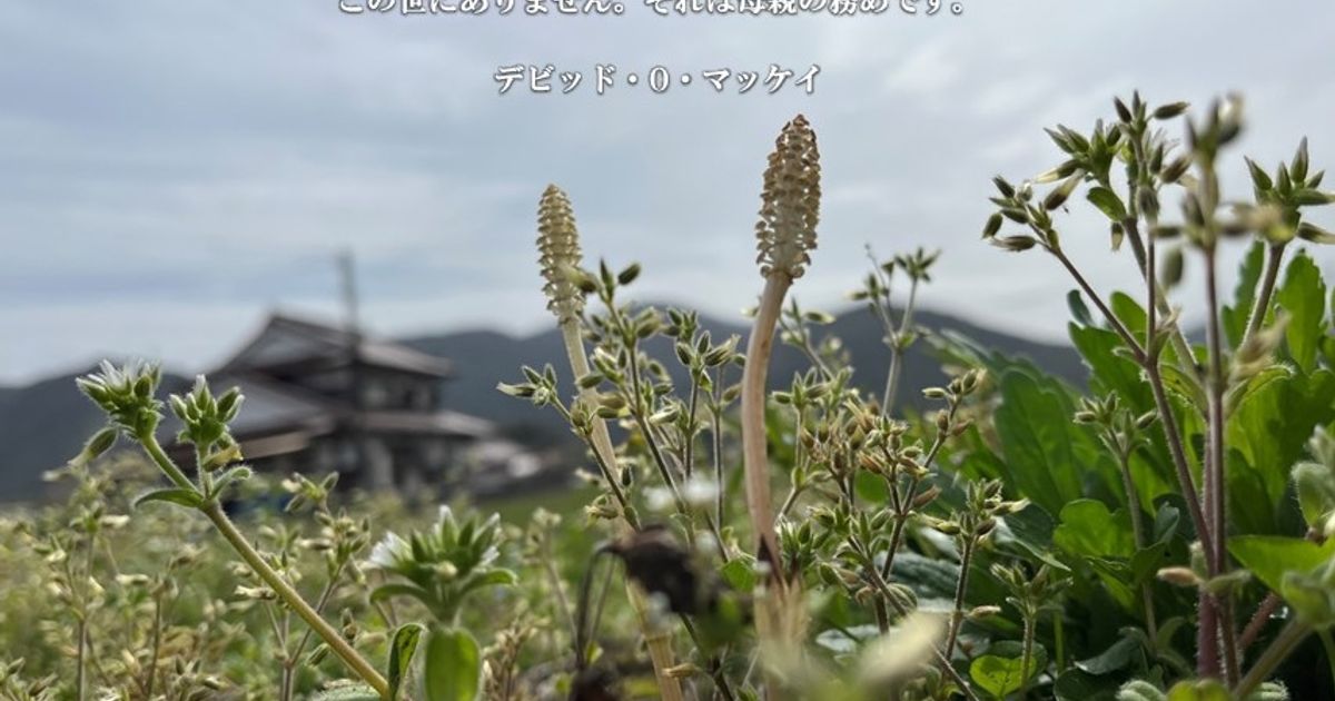 今日のひとこと 2023-03-26 | ALIS