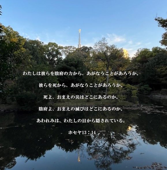 今日のひとこと 2022-11-11 | ALIS