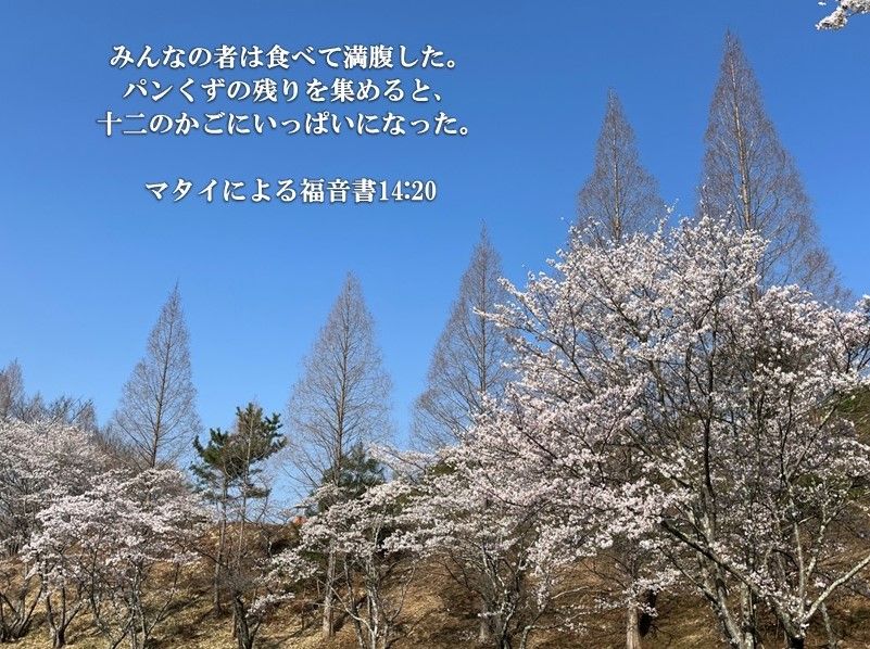 今日のひとこと 2023-03-30 | ALIS