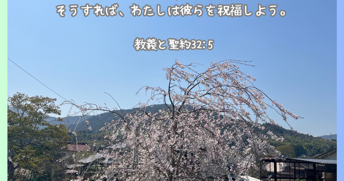 今日のひとこと 2025-04-10 | ALIS