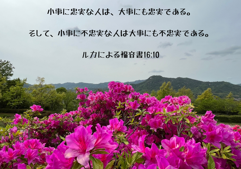 今日のひとこと 2023-05-04 | ALIS