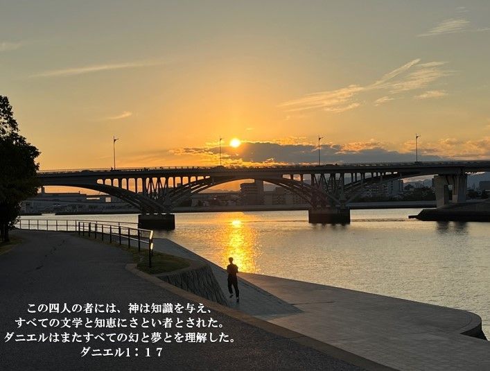 今日のひとこと2022-11-01 | ALIS