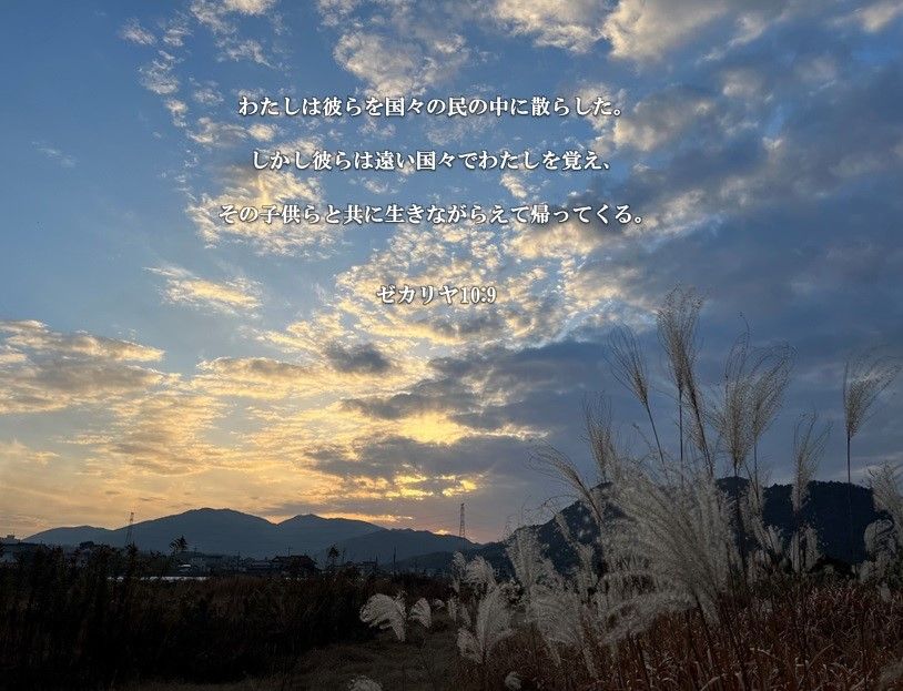 今日のひとこと 2022-12-09 | ALIS