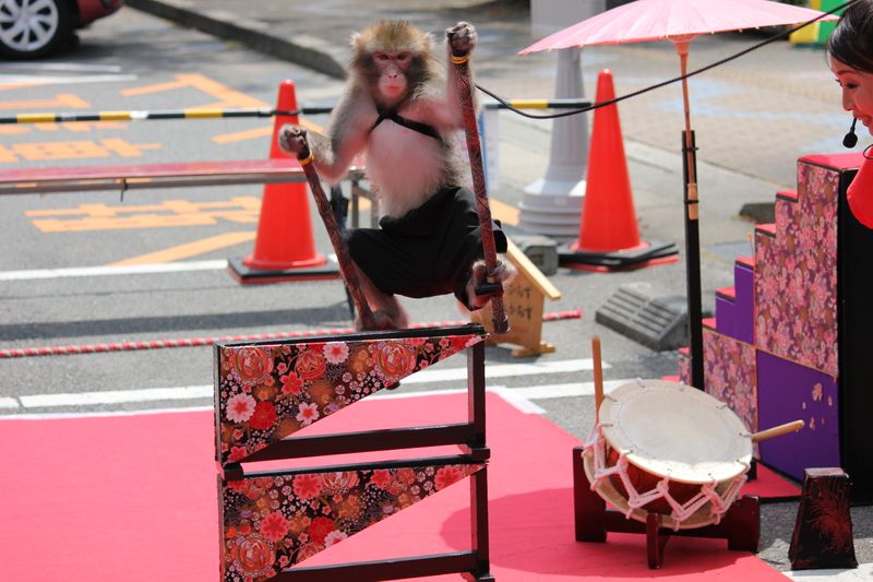 三和音 神戸モンキーズ劇場 | ALIS